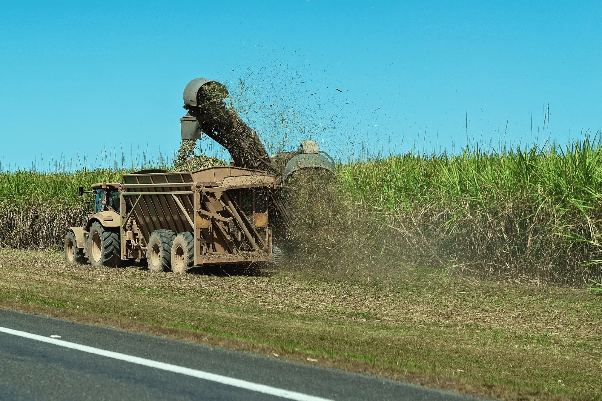 Low-Code Enterprise App Development | Neptune Software